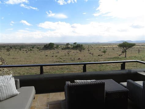 탄자니아 세렝게티 포시즌스 롯지 여행 풍경 호텔 네모판