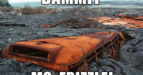Ms Frizzle Why Album On Imgur