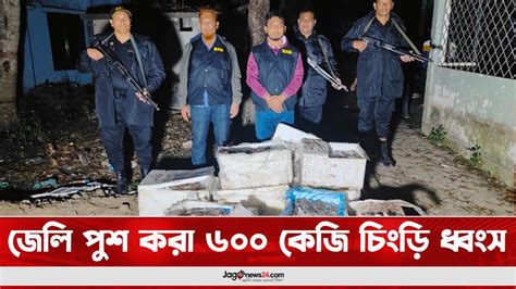 যশোরে জেলি পুশ করা ৬০০ কেজি চিংড়ি ধ্বংস Jago News Youtube