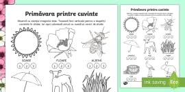 Cuvinte cu trei silabe Fișă de lucru Twinkl România