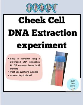 DNA Extraction Lab By Quick Check Science TPT
