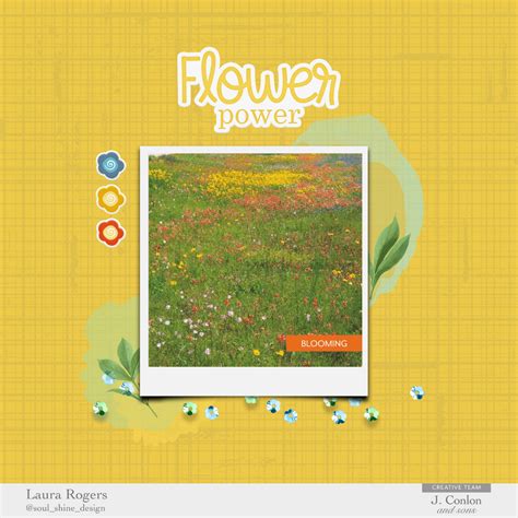 Showers And Flowers Paper Pack J Conlon And Sons