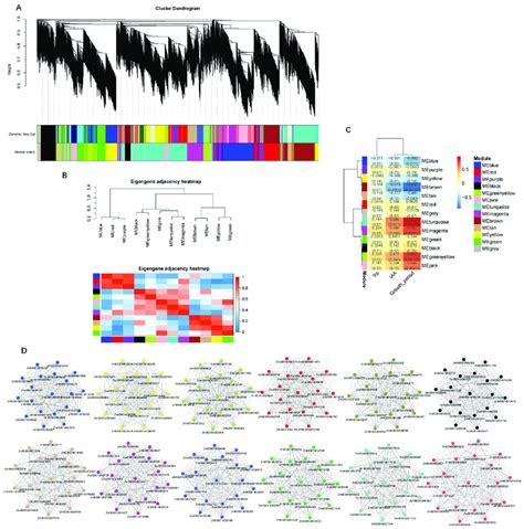 Weighted Gene Coexpression Network For Maize A Cluster Analysis