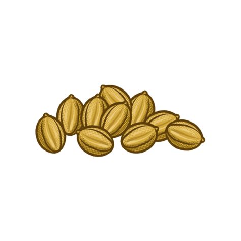 Buy Seeds Online Pumpkin Sunflower Flax Chia Seeds Hsn Overseas