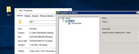 Deep Dive The Ultimate Guide To Master VMware Snapshot