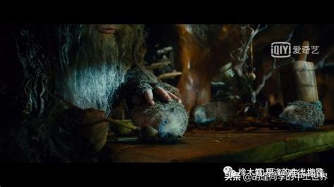 与天为徒的老好人 褐袍巫师拉达加斯特 知乎