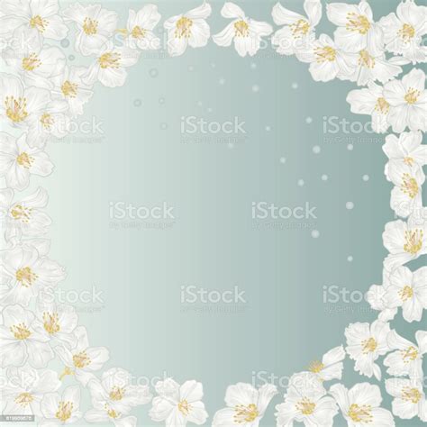 꽃 재 스민과 Dewdrops 빈티지 벡터 식물 일러스트와 함께 프레임 봄 블루 배경 0명에 대한 스톡 벡터 아트 및 기타