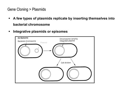 Genetic Engineering Transformation Pptx