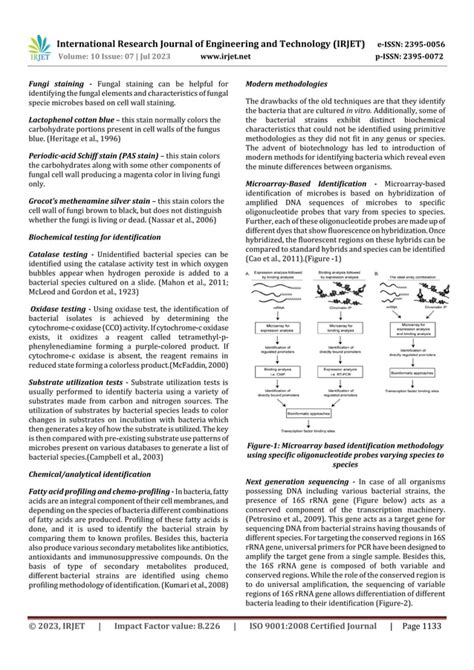 Isolation And Identification Of Protease Producing Bacteria Pdf