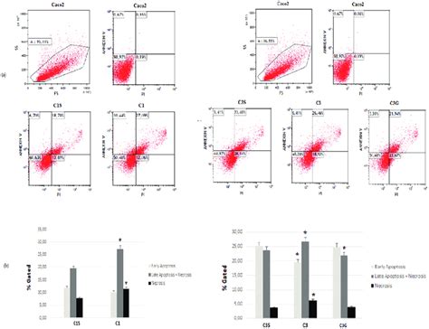 Annexin V Fitcpi Staining Of Caco 2 Cells After 25 Ghz Of