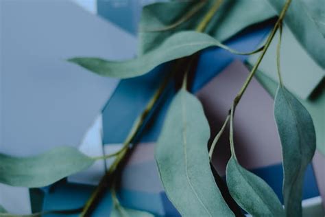 ¿qué Es La Trigonitis Hablando De Cistitis