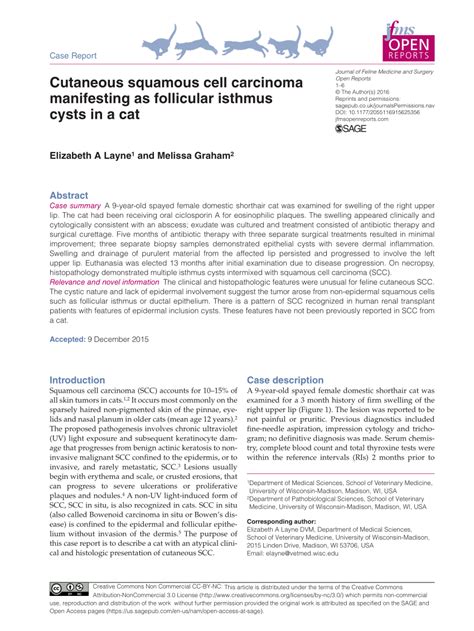 Pdf Cutaneous Squamous Cell Carcinoma Manifesting As Follicular