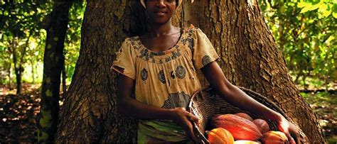 Better Cocoa For Better Lives Nestle Cocoa Plan Kitkat