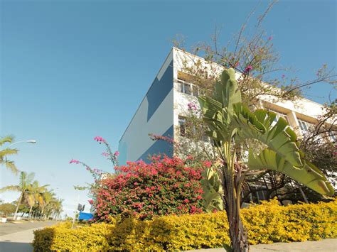Ufsc Abre Concurso Para Carreira Do Magistério Superior Contato Internet