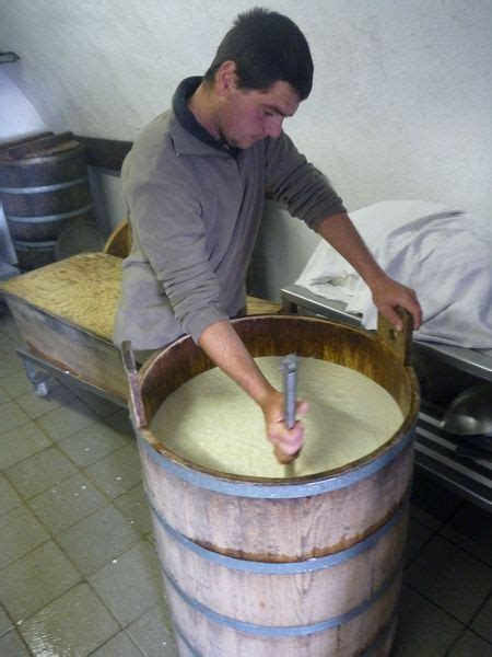 Unpasteurised V Pasteurised Cheese What Are The Differences