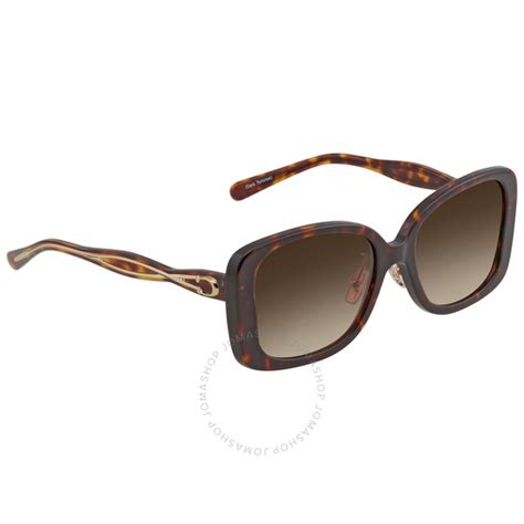 Coach Brown Gradient Butterfly Ladies Sunglasses Hc8334f 512013 55