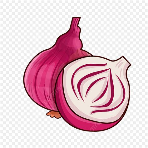 رسم بصله