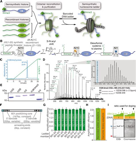 Chip Seq Histone Modification 1 Mining And Integration Of Histone Modification Data Can Be