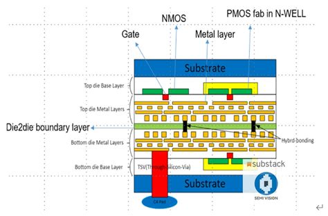 The Rise Of Asic Custom Chips Becoming A Key Trend