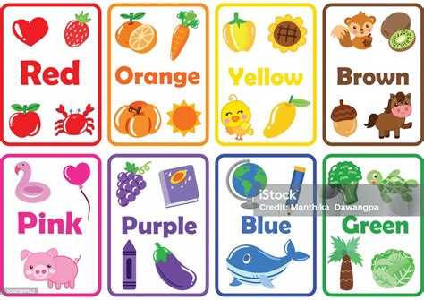 Ilustración De Tarjetas Didácticas De Colores Tarjeta Educativa