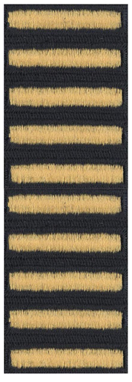 Combat Service Stripes Male Dress Blue Ten 60 Months