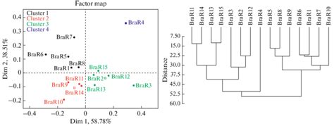 Principal Component Analysis And Dendrogram Based On Trait Variation