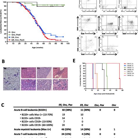 Phenotype Of Etv6 Runx1 T2onc Pax5 Leukemias A Kaplan Meier Curves