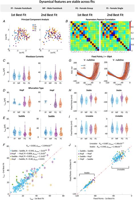 Particle‐swarm Based Modelling Reveals Two Distinct Classes Of Crhpvn Neurons Lameu 2023
