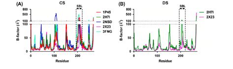 Comparison Of B Factor In Cs And Ds Complexes Download Scientific