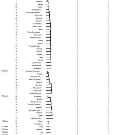Dendrogram Showing Clustering Pattern Of 50 Mango Genotypes Download