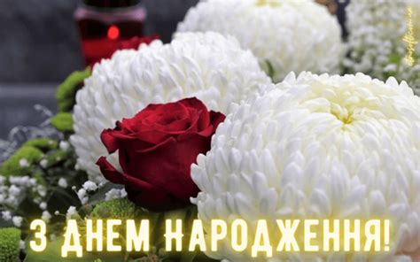 З днем народження картинка з хризантемами та трояндою дуже красива та