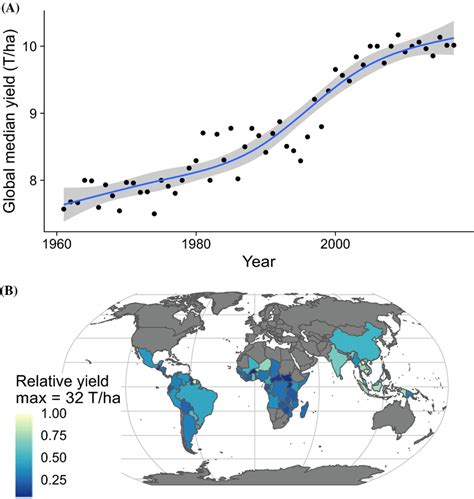 Global Cassava Yields Show Potential For Improvement A Cassava Global