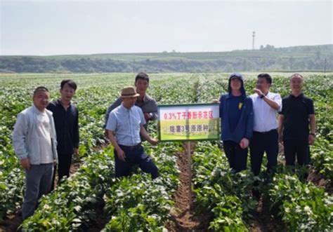 Lukie Pieterse On Linkedin Chinas Potato Industry Advances With