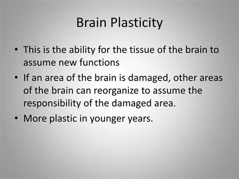 Ppt Unveiling The Cerebral Cortex Brains Control And Processing Hub
