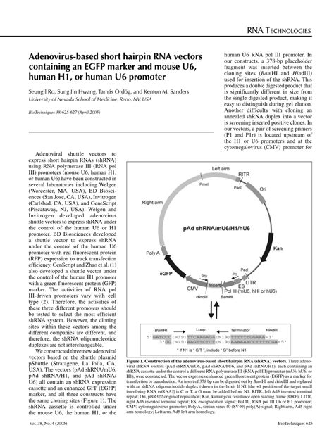 Pdf Adenovirus Based Short Hairpin Rna Vectors Containing An Egfp