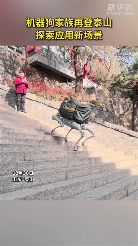 秀我中国｜机器狗家族再登泰山 探索应用新场景凤凰网资讯凤凰网