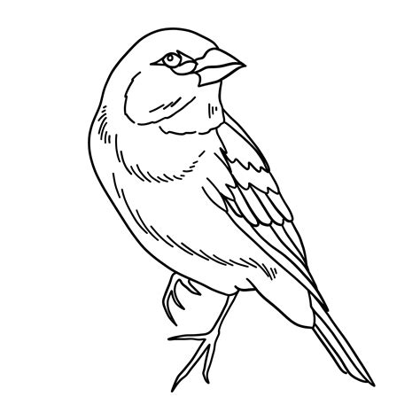 Image Result For Simple Bird Outline Bird Template Bird 47 Off