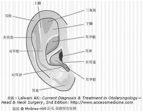 用于产生头相关传递函数滤波器的布置的制作方法