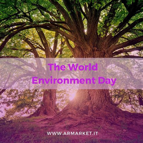 Ar Market On Linkedin Ar Vr Edtech Worldenvironmentday