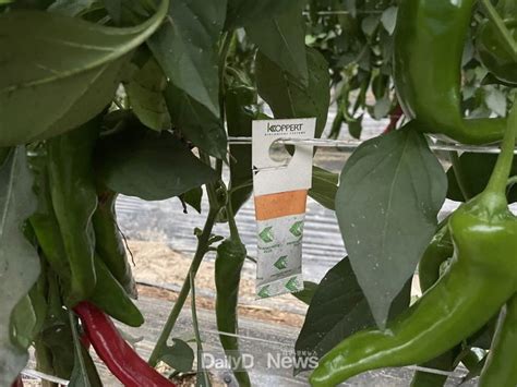 상주시 천적 활용한 친환경 농산물 보급으로 소비자 신뢰 확보