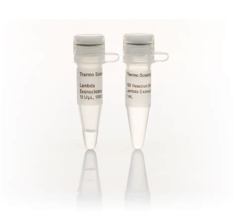Thermo Scientific Lambda Exonuclease 10 U L 10μ μl 5000u Enzymes