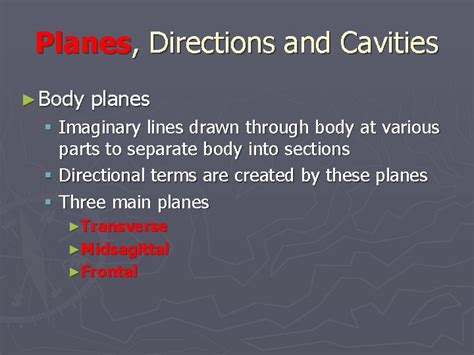 Body Planes Directions And Cavities Body Planes Directions