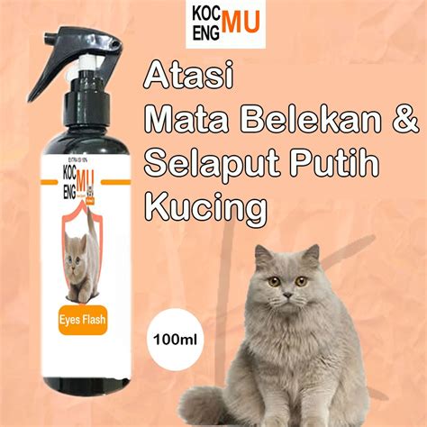 Jual Obat Mata Kucing Belekan Berair Obat Mata Kucing Spray Kocengmu