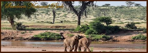 Samburu National Reserve Kenya A Rich Wildlife Sanctuary In The Rift