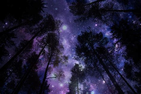 Картинки звезд леса 70 фото
