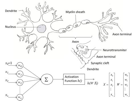 Perception Of Reality Information And Reality