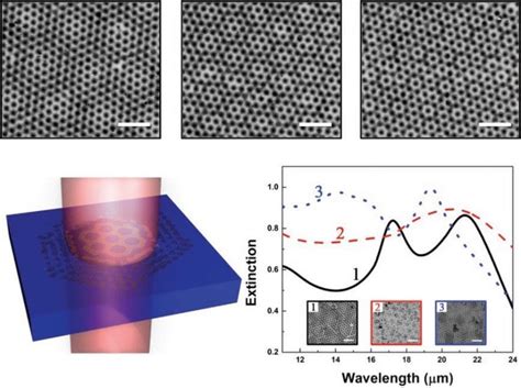 Tunable Graphene Metasurfaces With Gradient Features Advanced Science