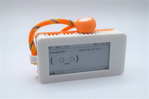 Pwnagotchi Case Pwnagotchi