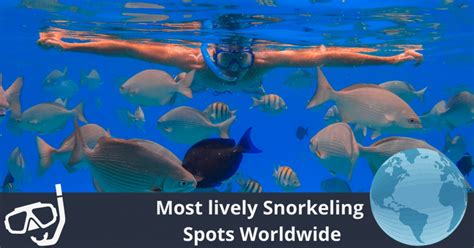 Amazing Spots For The Best Snorkeling In Indonesia ISM