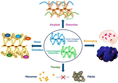 Conjugated Polyelectrolytes Illuminating The Path To Neurodegenerative Disorders Detection And